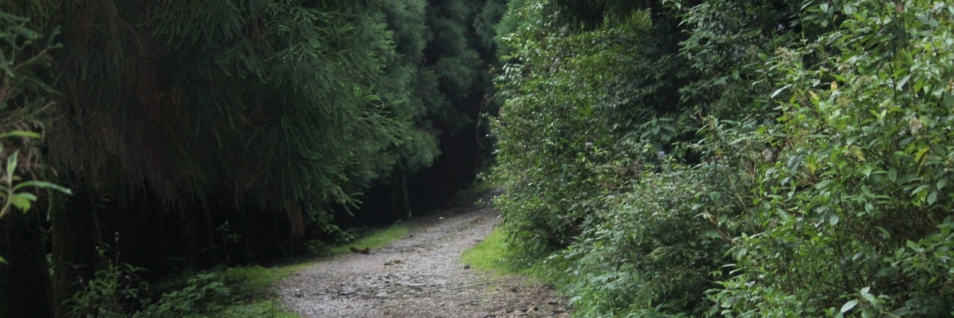 kalimpong - lava - loleygaon - rishyap - charkhole Tour Package