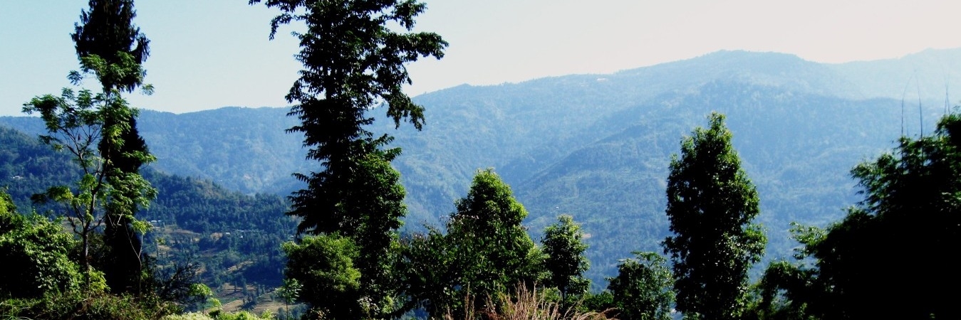 Lava - Loleygaon - Rishyap tour Package