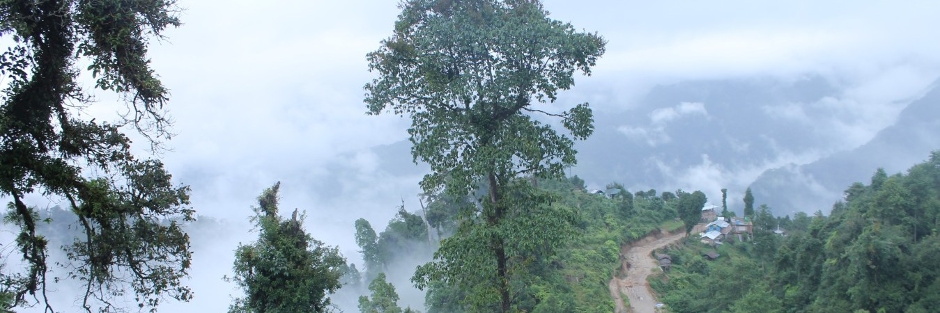 Kalimpong-lava-lolegaon-rishop Tour Package